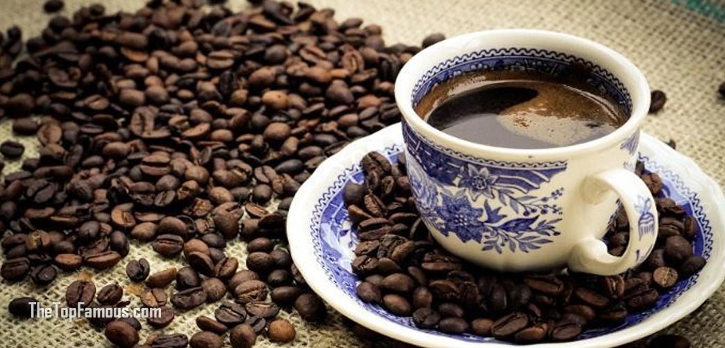 5 things you didn’t know about kopi luwak - thetopfamous.com
